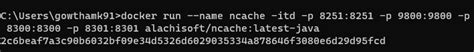 Getting Started With NCache Java Edition Docker Workplace