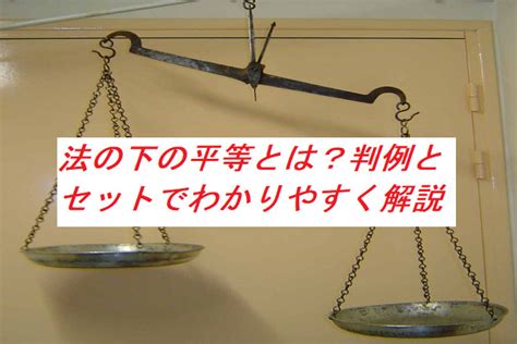 法の下の平等とは？判例とセットでわかりやすく解説（関連入試問題も）【政治第9回】 Himokuri