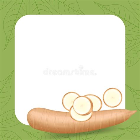 Banner Frame Of Cassava Fresh For Copy Space Cassava Cut Slice For