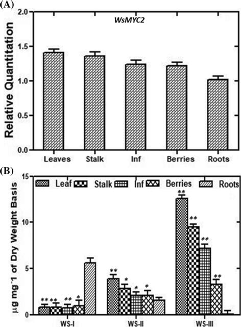 A Tissue Specific Quantitative Real Time Expression Analysis
