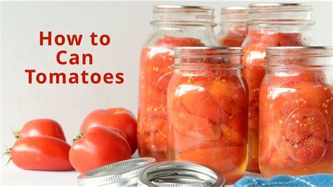 How To Can Tomatoes Step By Step Tutorial How To Can Tomatoes