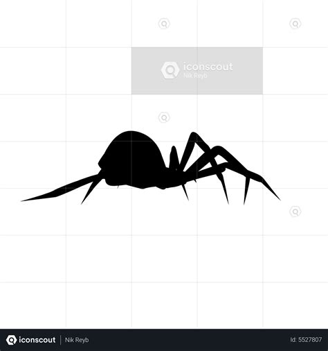Spider Animation By Nik Reyb Lottiefiles