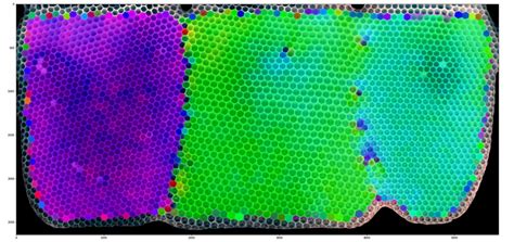 Engineers May Learn From Bees For Optimal Honeycomb Designs Cornell
