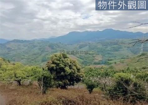 東勢視野佳景觀優美有水有電甜柿園 台中市東勢區東勢段石角小段房屋 Yc0149211 有巢氏房屋