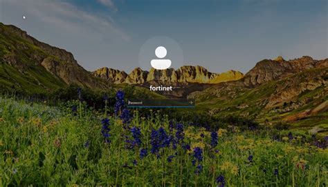 Technical Tip How Each Deployment Options Within Fortinet Community