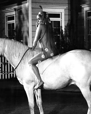 Kim Novak Porn Pictures Xxx Photos Sex Images Pictoa