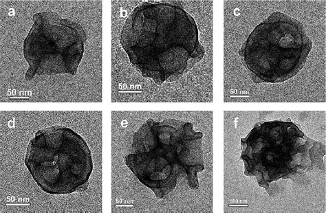 Tem Micrographs Of The Triblock Copolymer Assemblies 10 G L À1 In Download Scientific
