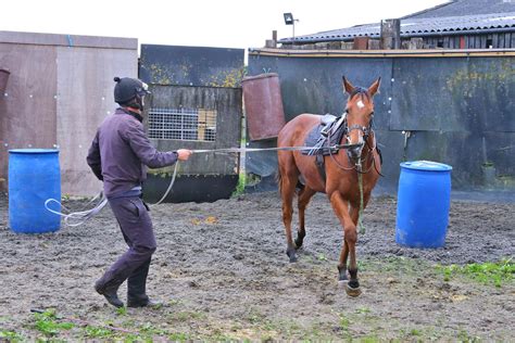 Mick And David Easterby