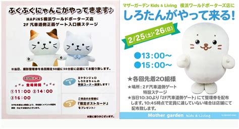 ふくふくにゃんこ、しろたんがやってくる！【横浜ワールドポーターズ 】 －みなとみらいprセンター｜btobプラットフォーム 業界チャネル