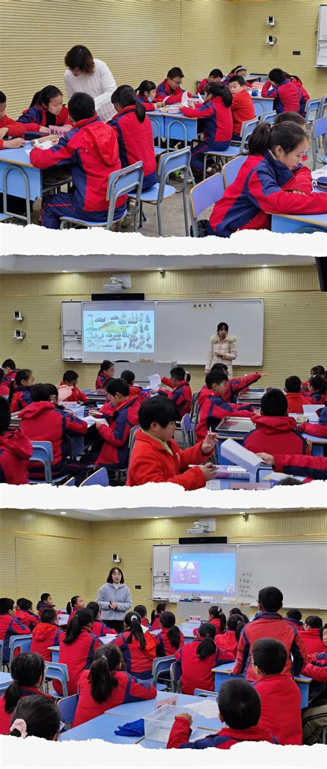丽水松阳：同课展风采，异构显巧思——松阳县小学科学课堂评比活动 小学科学教学网