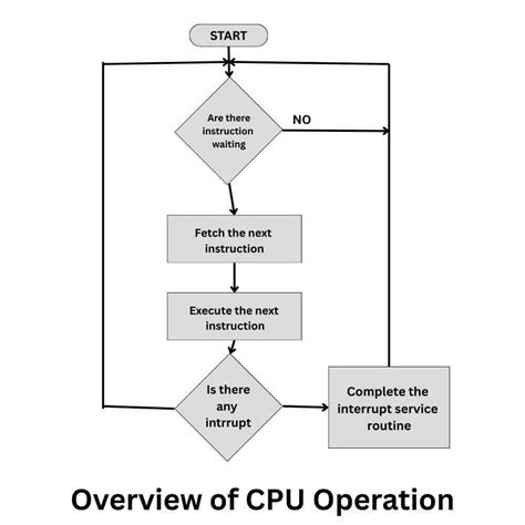 Basic Function Of Computer Computer Architecture