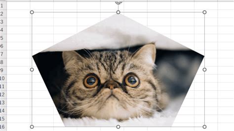 【excel】vbaマクロで選択範囲を取得（アクティブセル：位置や番地：アドレス：現在：マウスクリック：変数など）する方法【selection Cells Rows】｜テクテク