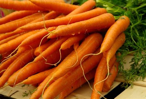 Какие сорта моркови выбрать? Посадка, уход и размножение растений