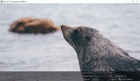 15 программ для просмотра фото на Windows Icecream Apps