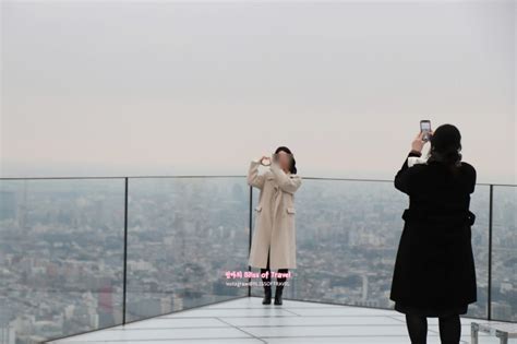 일본관광지 도쿄 여행 코스 시부야 스카이 전망대 예약 And 할인 네이버 블로그