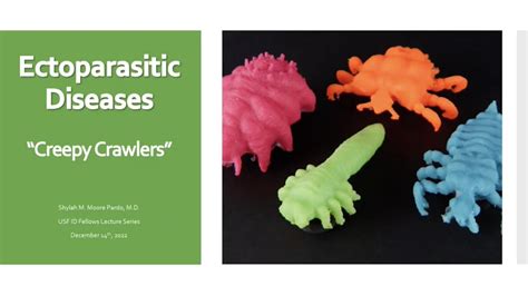 Ectoparasitic Diseases Shylah Moore Pardo Md Youtube