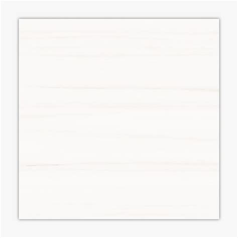 Premium Dolomite Matte 24x24 Porcelain Tile Direct Stone Source