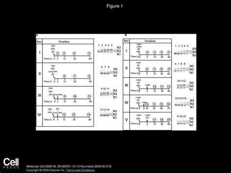 Volume 35 Issue 1 Pages July 2009 Ppt Download