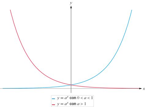 Definizione Di Funzione Esponenziale Con Esempi E Grafico Studenti It