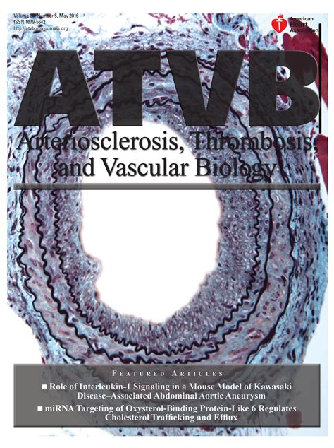Vol 36 No 5 Arteriosclerosis Thrombosis And Vascular Biology