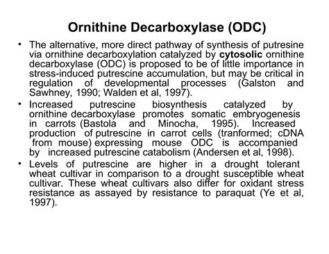 Polyamines 1234657890123466890182u363663728272636362ppt