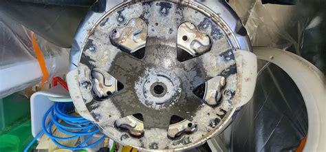 엘지17kg통돌이세탁기 분해세척 홈케어 청소전문가 키다리아저씨 숨고 숨은고수 엘지17kg통돌이세탁기 분해세척 홈케어 청소전문가 키다리아저씨 숨고 숨은고수