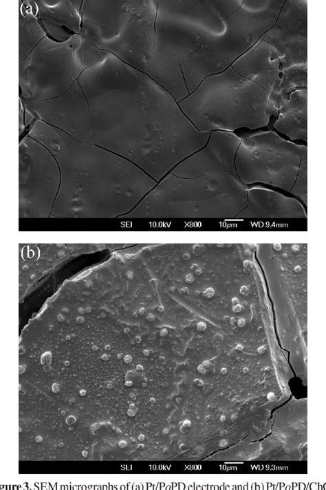 Figure 1 From Development Of An Amperometric Enzyme Electrode Based On Poly O Phenylenediamine