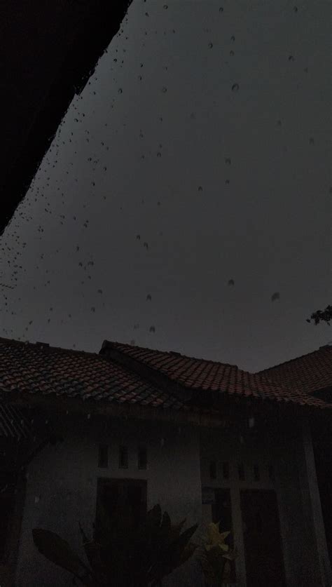 Pin By Ytta 00 On Random Rain