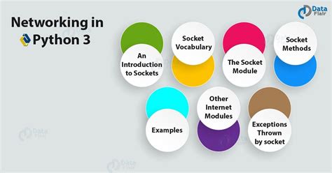 Python Network Programming What Is Socket Programming In Python Dataflair