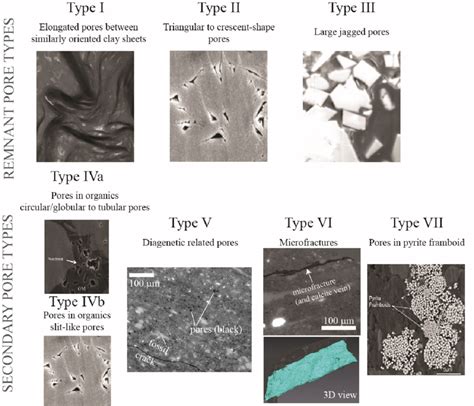 Pore Type Classification Following Desbois Et Al 2010 And Heath Et