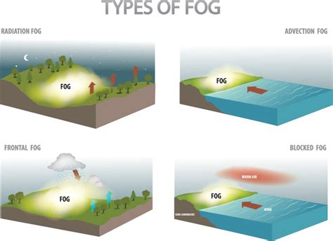 Tsunami Fault Types Diagram Royalty Free Vector Image