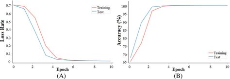 Success And Loss Graphs Obtained From Training The Original Dataset