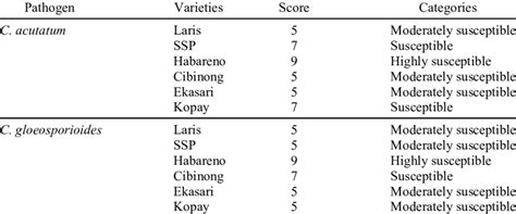 the classification of anthracnose resistance in six varieties of chili