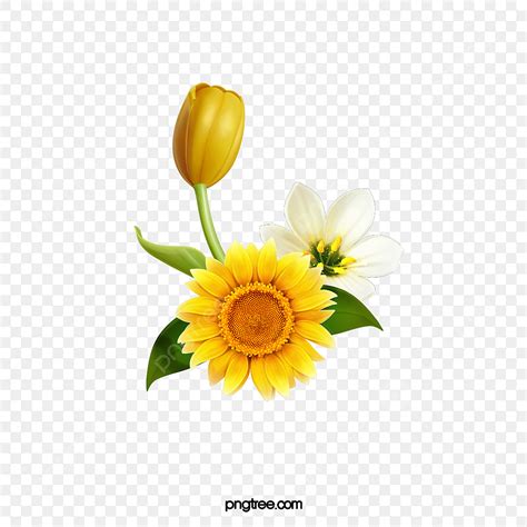 만화 일러스트 섬세한 손으로 그린 노란 해바라기 레이션 해바라기 클립 아트 해바라기 아름다운 Png 일러스트 및 Psd 이미지 무료 다운로드 Pngtree
