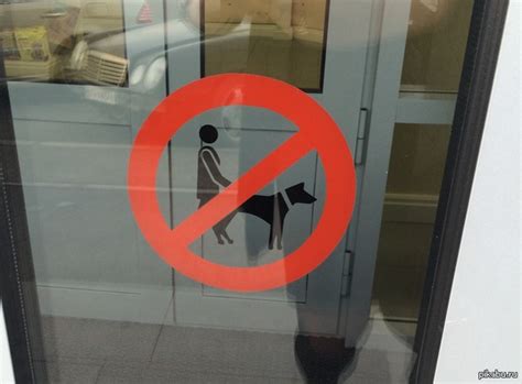 В Красноярских аптеках нельзя Пикабу