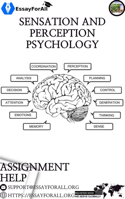 Sensation And Perception Psychology Ppt Pdf