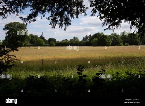 The Park Grass Experiment One Of The Long Term Or Classical