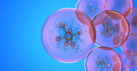 Predictive Biology Moves Towards Predictive Medicine
