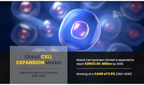 Cell Expansion Market Size Share And Growth Analysis 2032