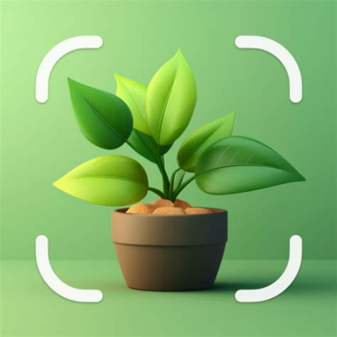 Plant Identifier AI Plant Care Apps On Google Play