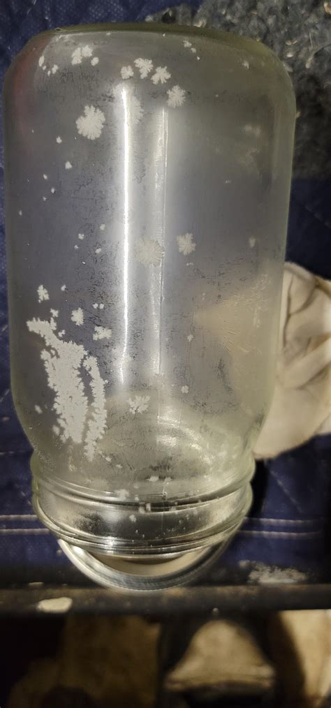 Extraction Of Canary Reed Grass Rdmt