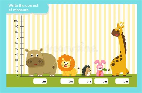 Write The Correct Measure Stock Vector Illustration Of Jungle 263483653