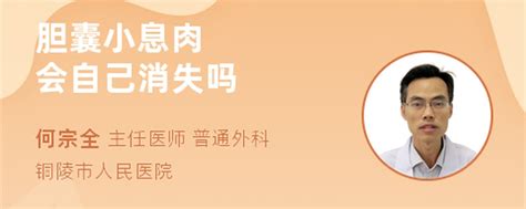 胆囊小息肉会自己消失吗何宗全的语音问答 普乐云康