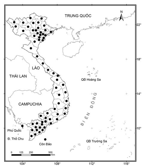 Coelognathus Radiatus Danh LỤc ĐỎ ViỆt Nam