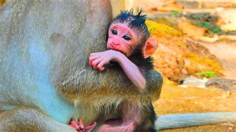 Beautiful Newly Bay Jester So Sweet With Finger Su Cking Most Active Non Stoppable Youtube