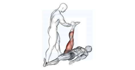 Assisted Lying Hamstring Stretch Guide Benefits And Form