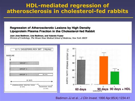 Ppt Hdl C Concentration Versus Hdl Particle Function What Exactly