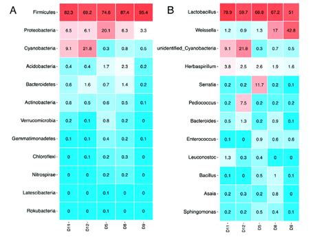 Taxa Relative Abundance At The Phylum Level A And Genus Level B In