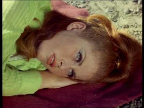 Jpeg Screenshot From Vixens Trilogy Box Set The