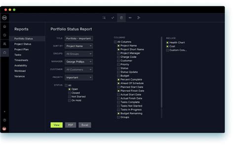 Critical Path Software Projectmanager